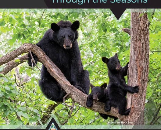 Discover Nature Schools | MISSOURI DEPARTMENT OF CONSERVATION