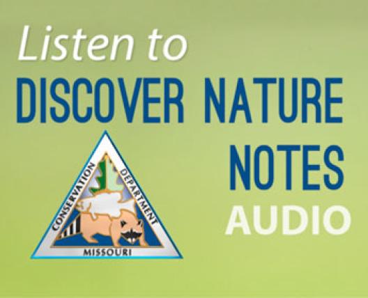 MDC Videos, Podcasts, and Blogs | MISSOURI DEPARTMENT OF CONSERVATION